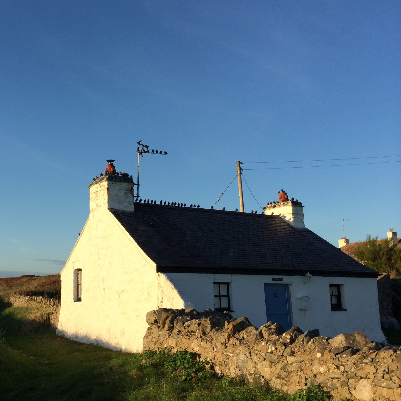 Bodorgan Estate | Anglesey, North Wales
